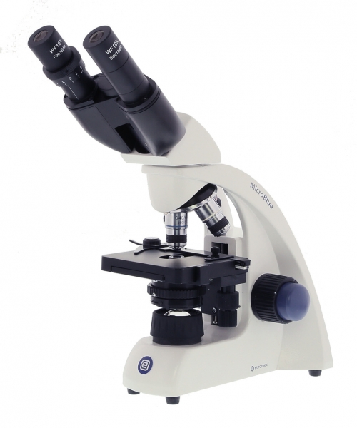 Microscope Binoculaire Microblue, binoculaire sur AllSciences